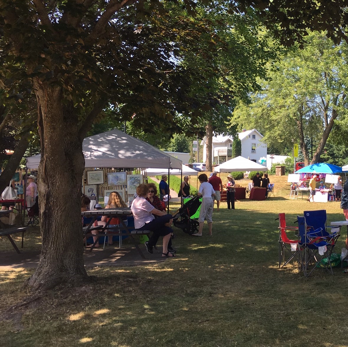 Tweed & Area Arts Council: Art in the Park - Tweed and Area Arts Council