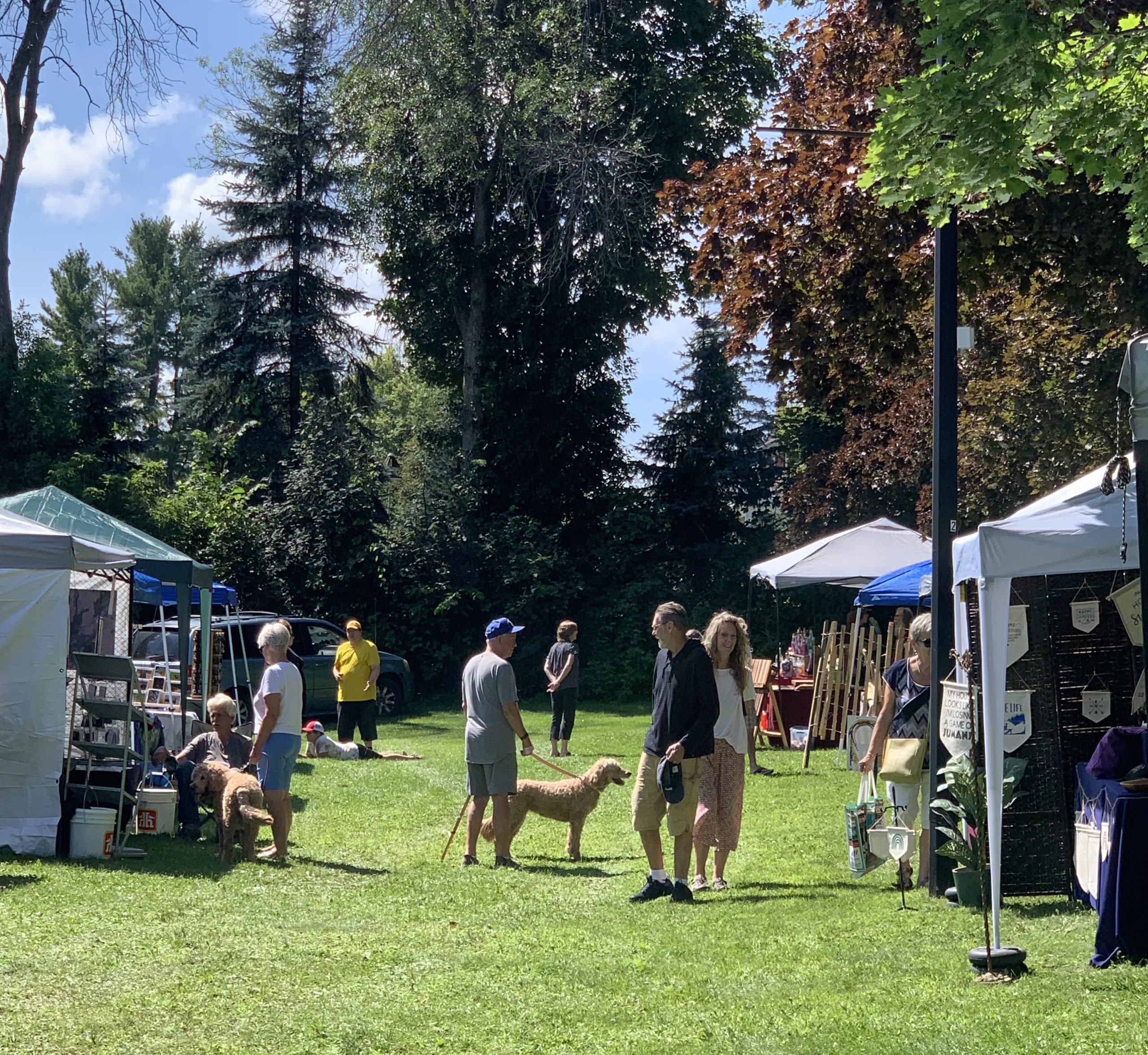 A Brief History of T&AAC’s ‘Art in The Park’ - Tweed and Area Arts Council